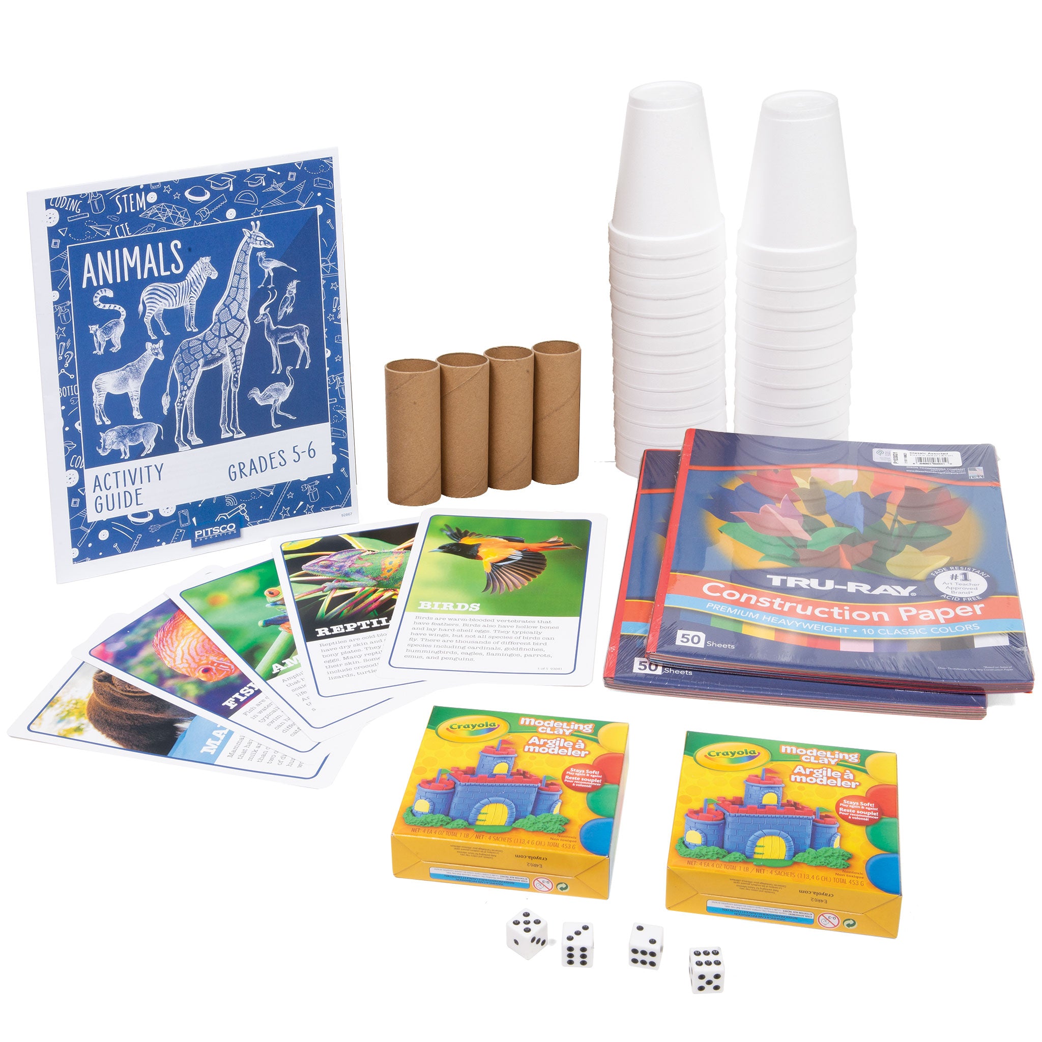 Animals Elementary Activity Bundle