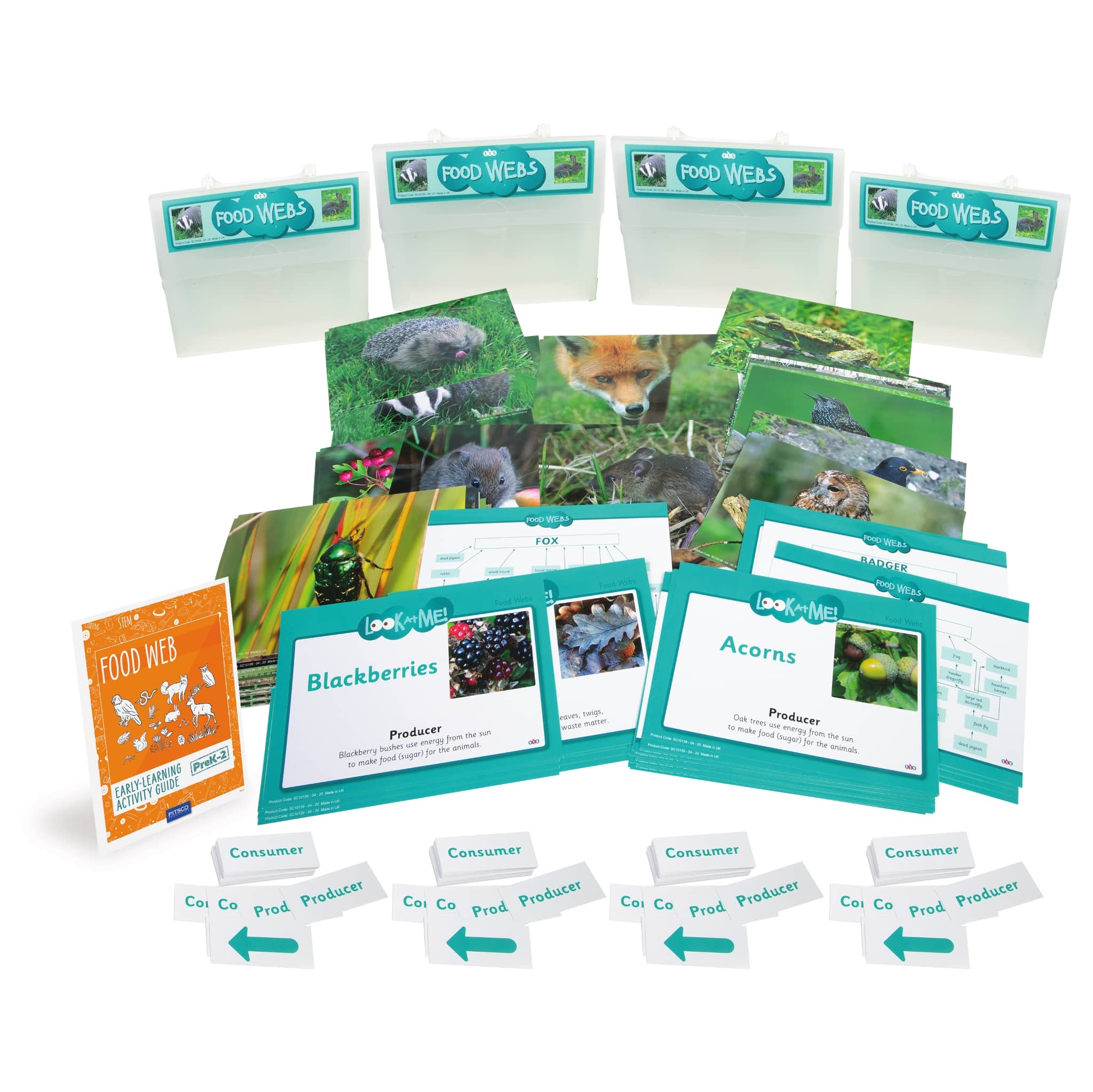 Teach Food Webs With This PreK-2 STEM Activity Bundle