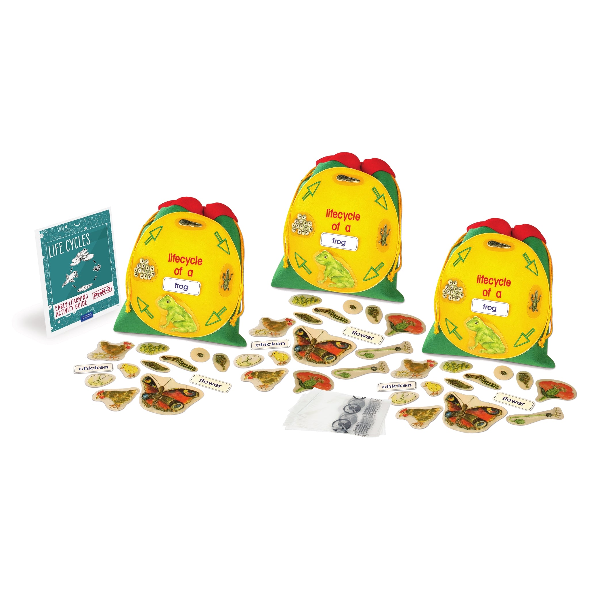 Life Cycles PreK-2 Activity Bundle