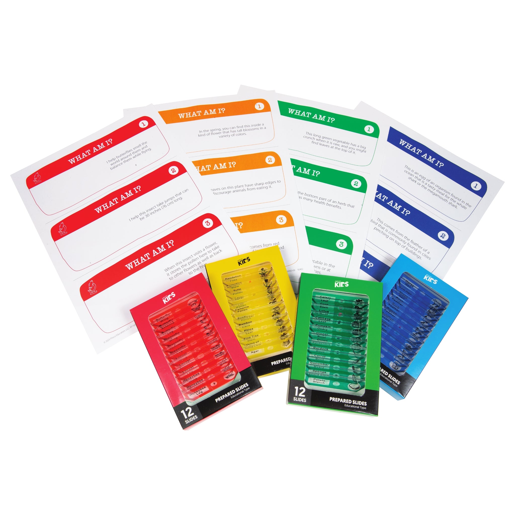 Microscope Slides and Cards Bundle