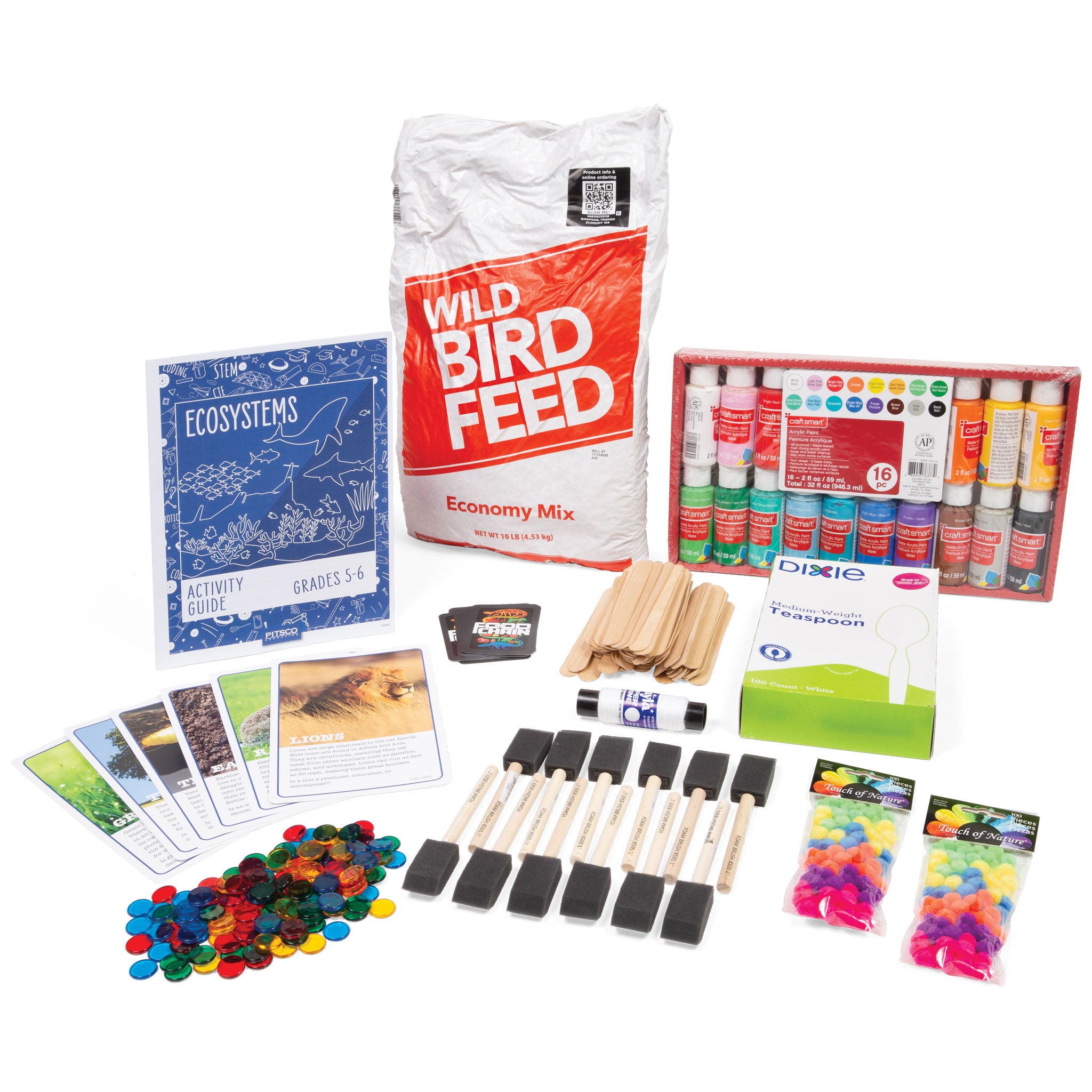 Ecosystems Elementary Activity Bundle